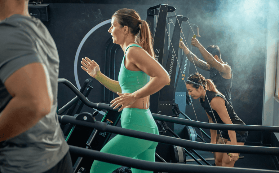 Performance Series · ZODA